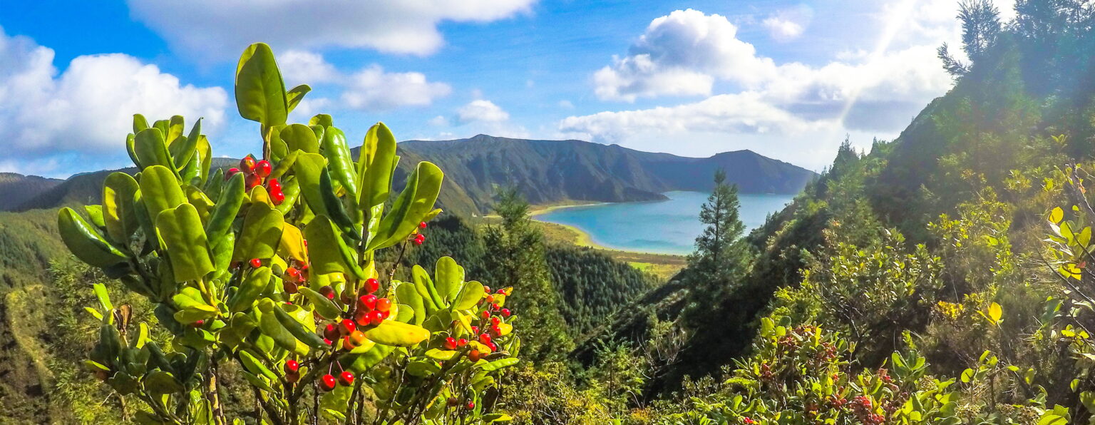 Spring Is In the Air - Fun Activities Azores Adventure